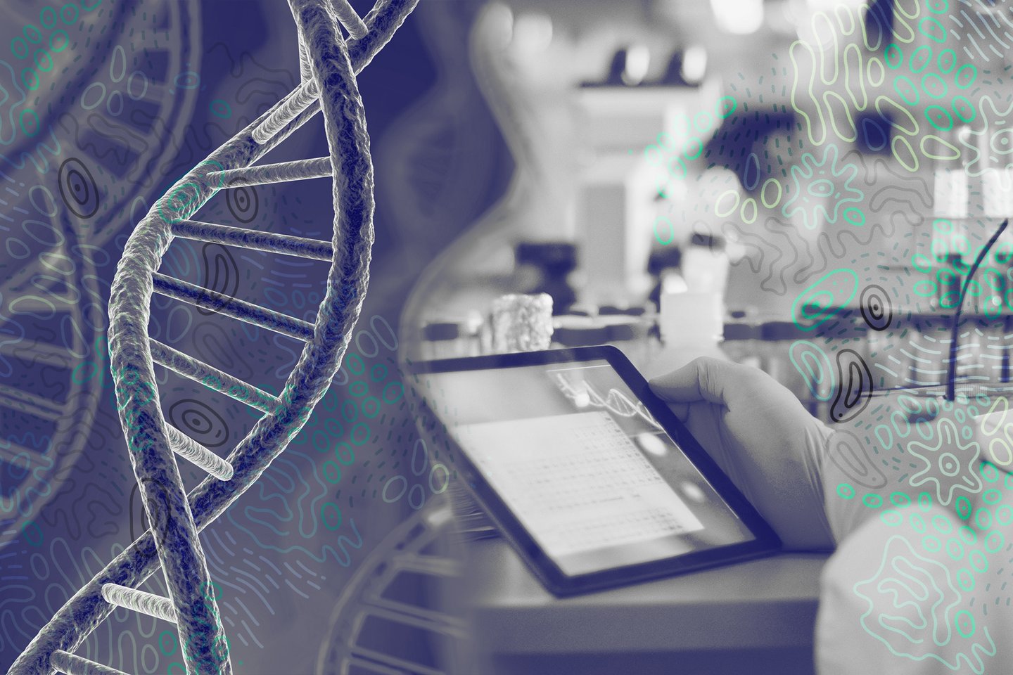 The Development of Bioinformatics Requirements in Genome Analysis