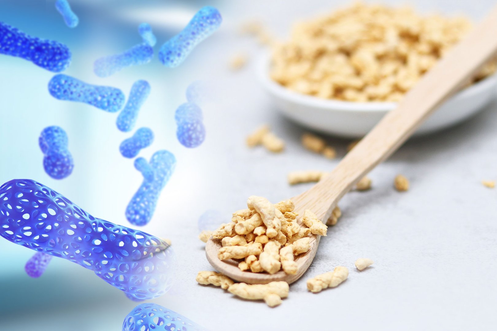 Microbial testing – An overview of what it is and what it is for