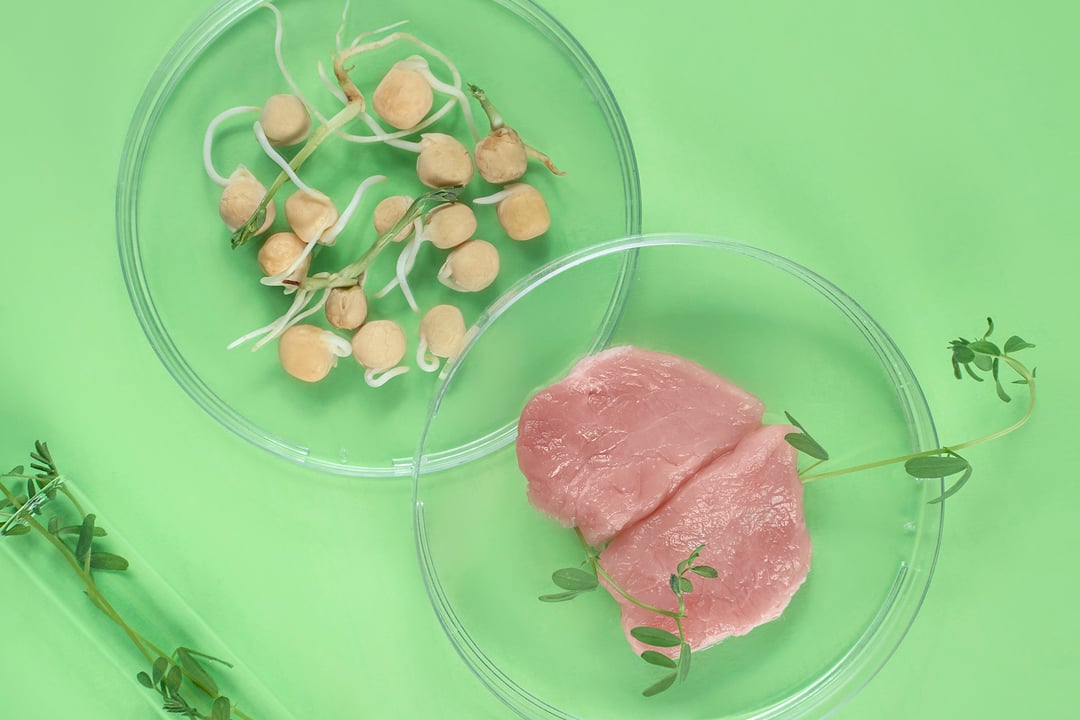 Opening the food chain to change. | Biosafe