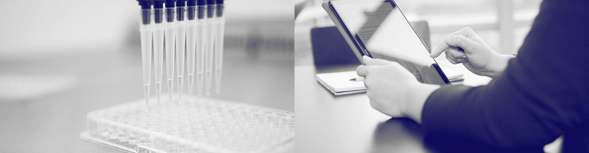 GRAS notice to FDA | Biosafe