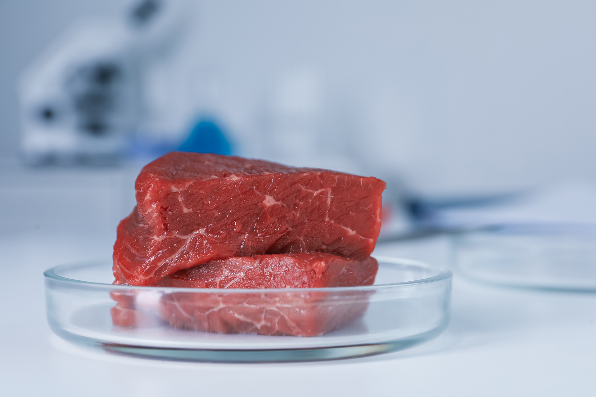 Developing laboratory services for cultivated meat & cell-culture food